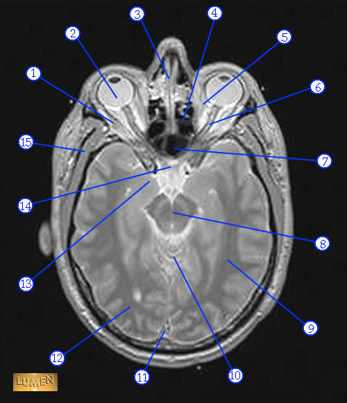 untitled [www.meddean.luc.edu]