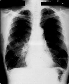 New Page 1 [www.meddean.luc.edu]