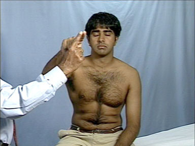 Coordination in the Upper Extremities