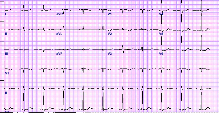 New Page 1 [www.meddean.luc.edu]