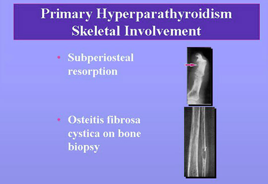 New Page 1 [www.meddean.luc.edu]
