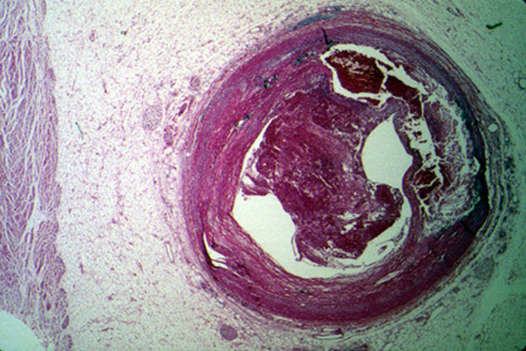 New Page 1 [www.meddean.luc.edu]