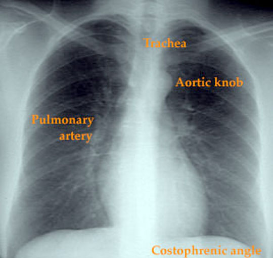 New Page 1 [www.meddean.luc.edu]