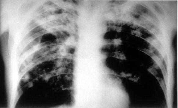 New Page 1 [www.meddean.luc.edu]