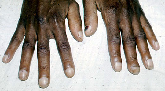 New Page 1 [www.meddean.luc.edu]