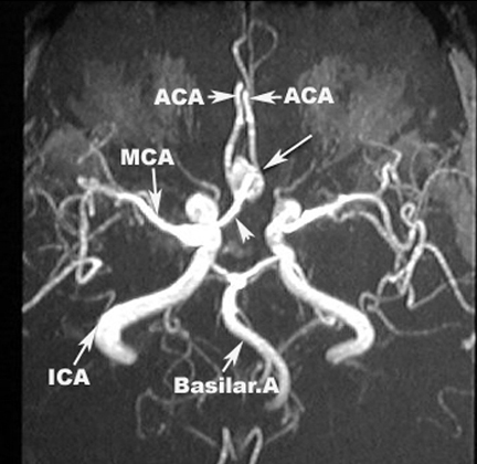 New Page 1 [www.meddean.luc.edu]