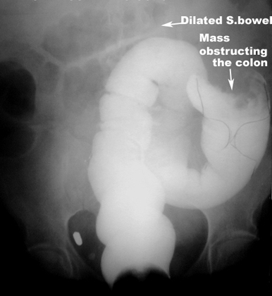 Untitled Document [www.meddean.luc.edu]