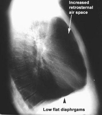 New Page 1 [www.meddean.luc.edu]