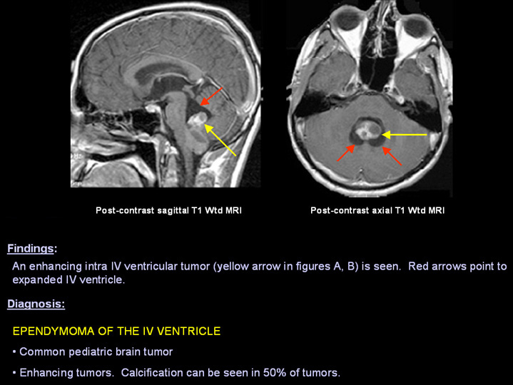 Untitled Document [www.meddean.luc.edu]