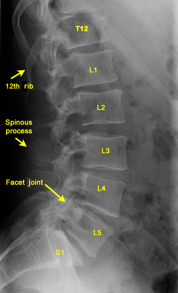 Untitled Document [www.meddean.luc.edu]