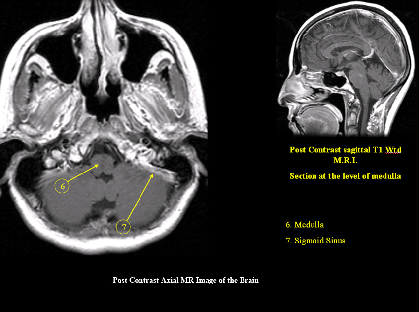Untitled Document [www.meddean.luc.edu]