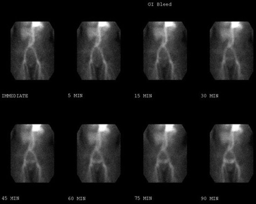 Untitled Document [www.meddean.luc.edu]